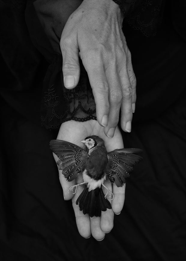 Devotion Nature Photo by model Inner Essence at Model Society